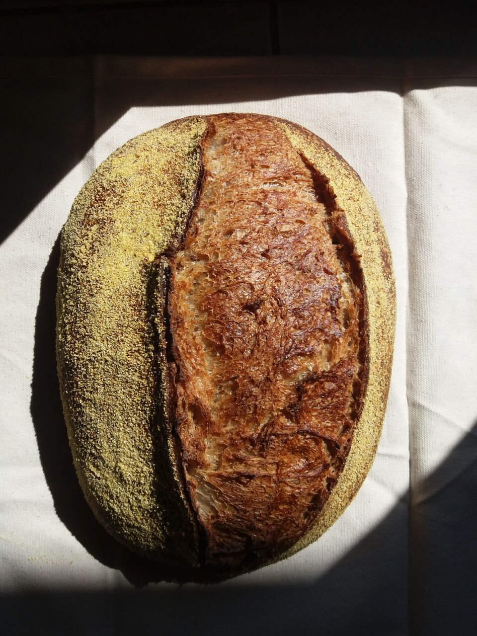 Sourdough Batard Bread With 20% Greek Botanical Blend - The Sourdough ...