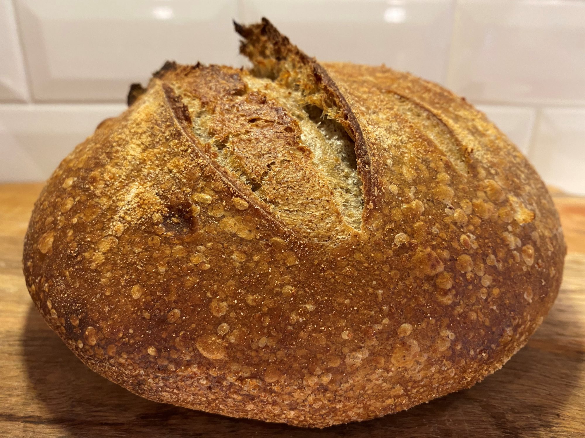 Canadian Local Grains Loaf - The Sourdough School