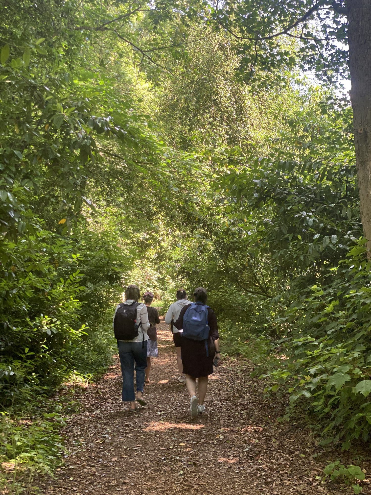 Increase activity levels - The Sourdough School