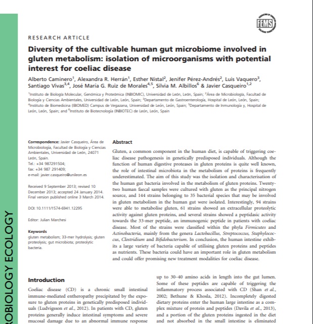 Diversity of the cultivable human gut microbiome involved in gluten ...